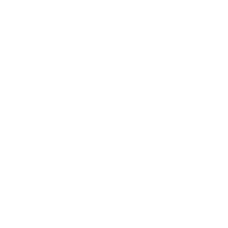 Bridges Learning System Store