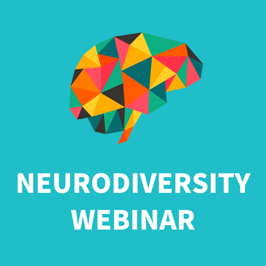 Bridges Learning System - Promoting life-changing learning.